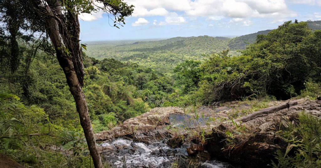 Mayflower Bocawina National Park: Belize's Hidden Rainforest Gem ...