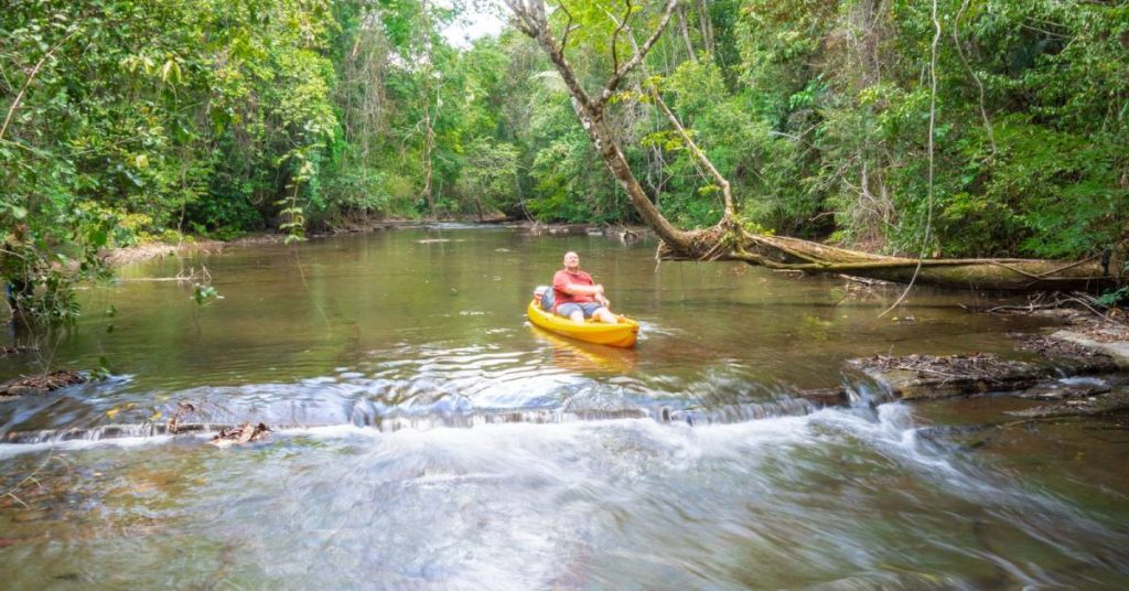 Belize Eco-Tourism: Nature, Wildlife & Conservation Travel | Belize On Top