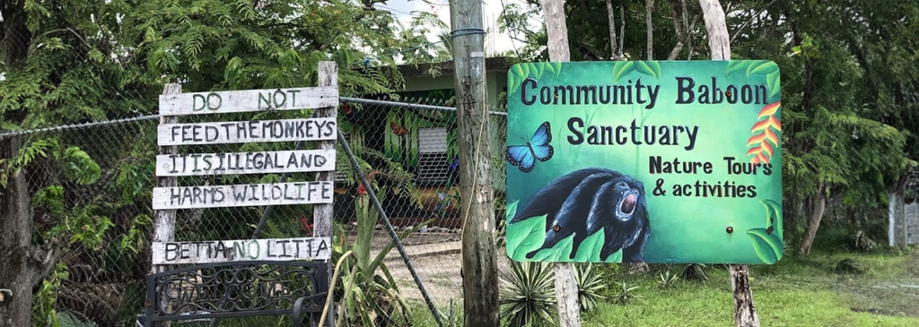 Family-Friendly Tours to Book in February in Belize | Belize On Top